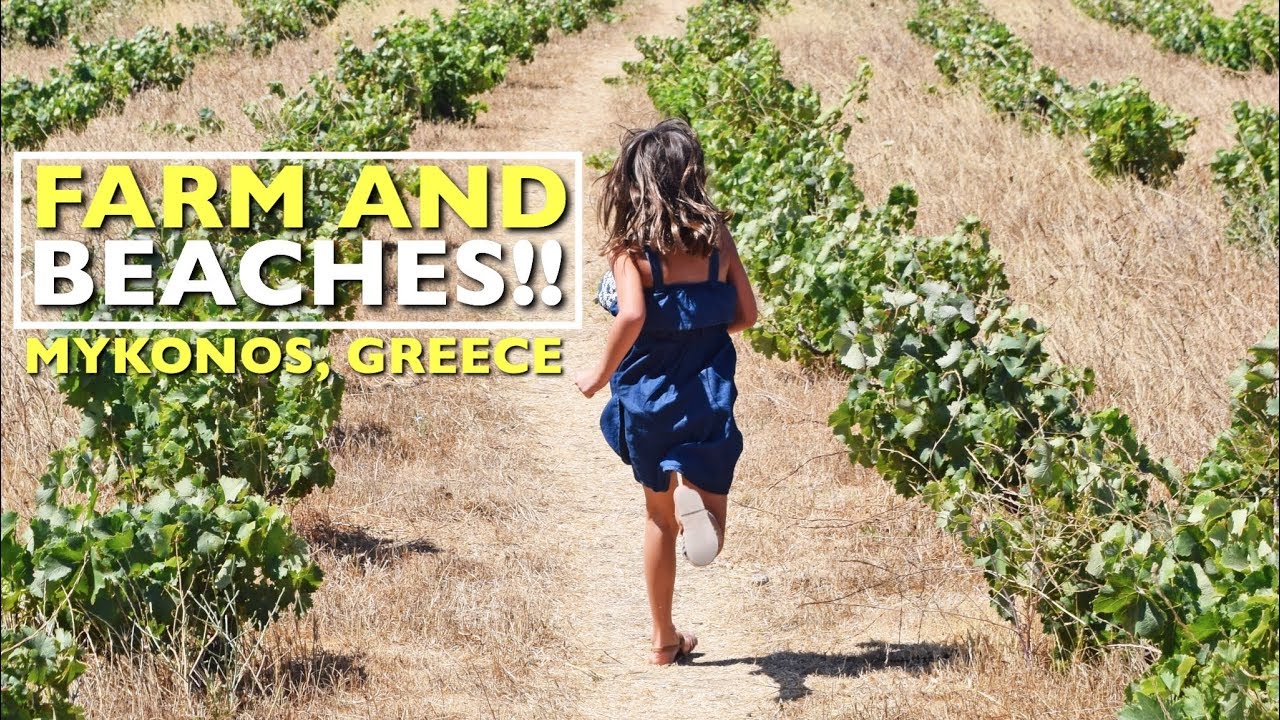 Mykonos Farm and Beaches!!! | Our Big Fat Greek Adventure | Ep. 10 ...