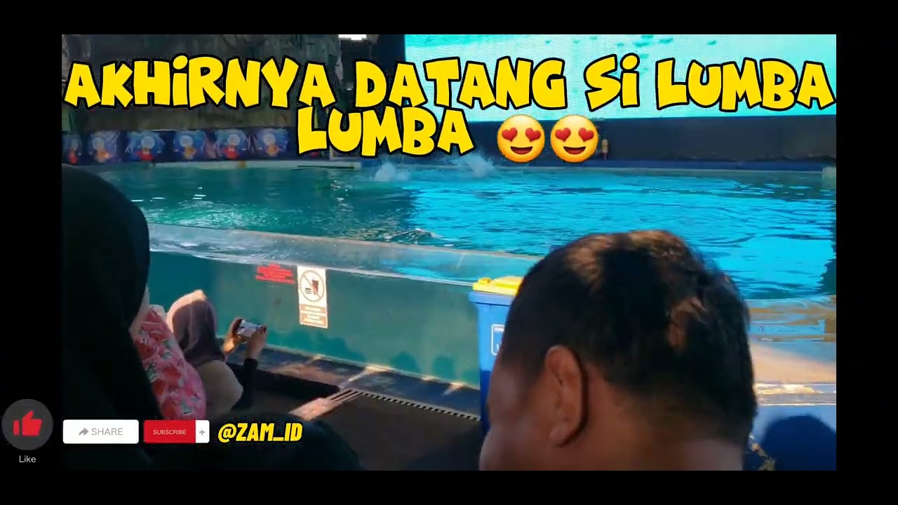 yeaaayyy akhirnya datang juga si lumba - lumba 😍😍😍😍 #lumba2 #atraksi # ...