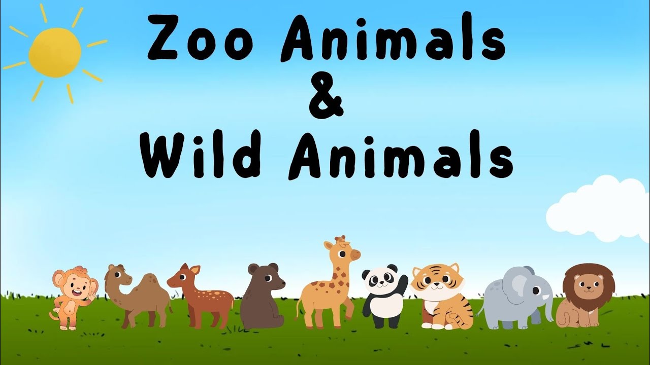 zoo animals & wild animals जंगली जानवरो के नाम | jangali janwar ...