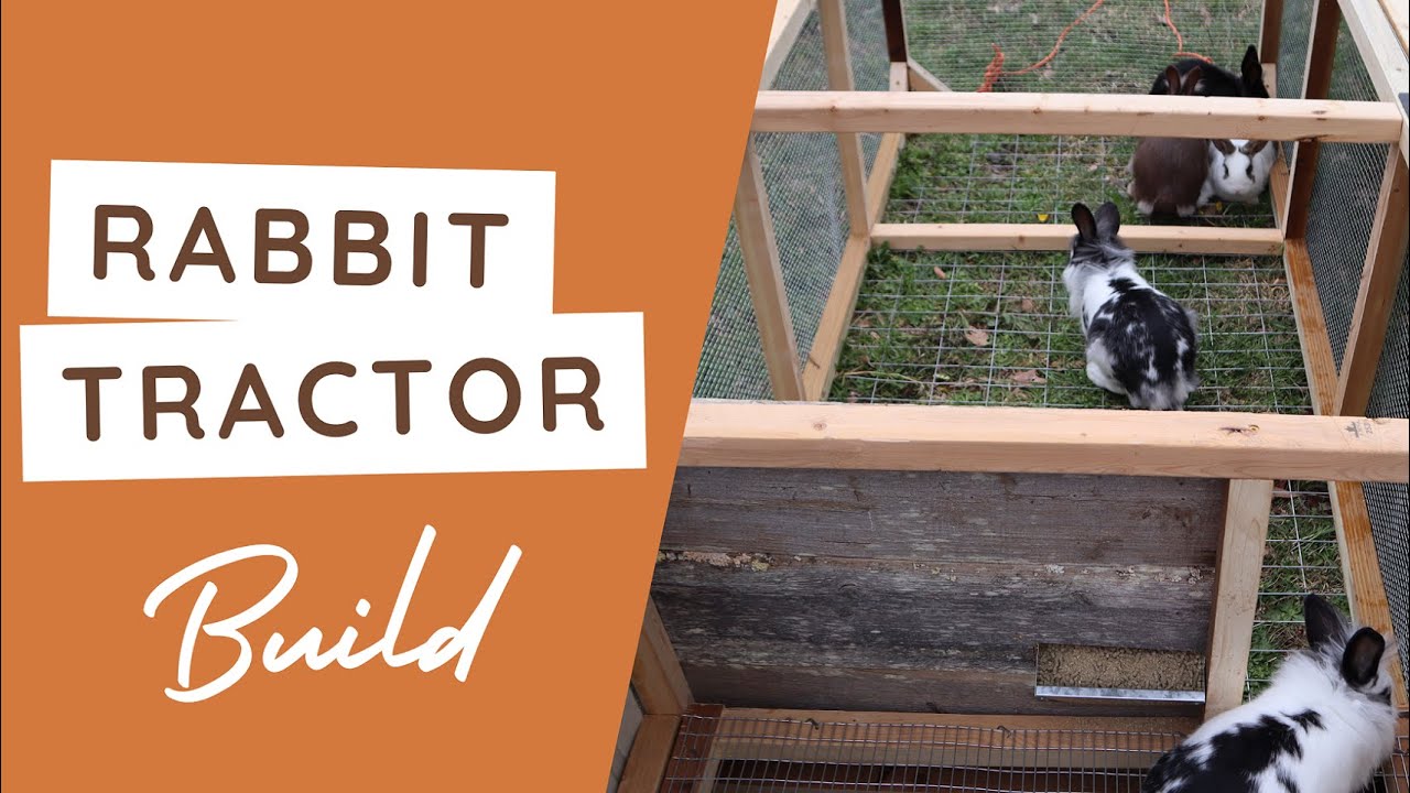 Building a Rabbit Tractor for Some Grow Outs | Rabbitry - YouTube