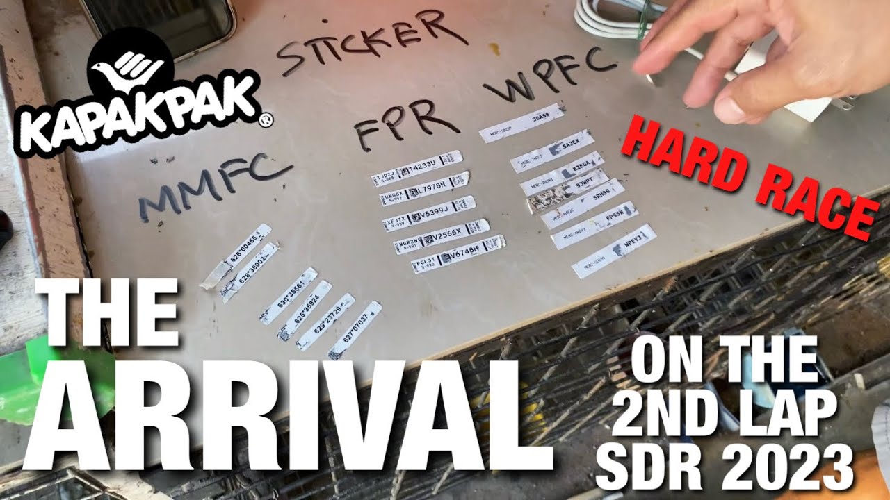THE ARRIVAL ON THE 2ND LAP (SDR 2023) [HARD RACE] - YouTube