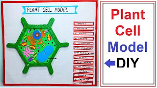 plant cell model (3d) making - simple and easy science project for exhibition - diy | craftpiller