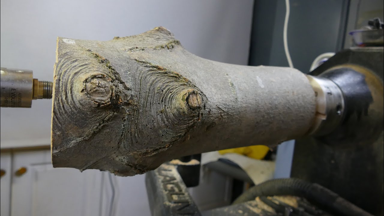 Woodturning - I Found This Weird Log In My Shed! - YouTube