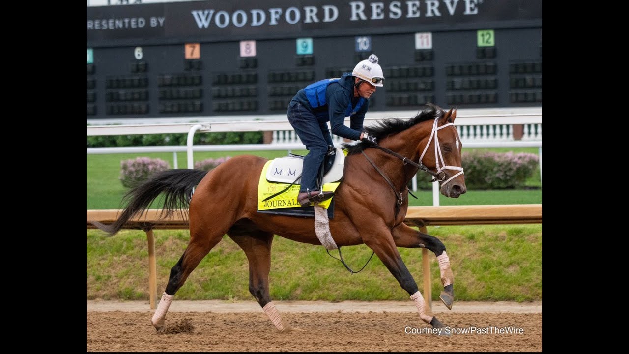 Stephen Foster Race Lens Preview - YouTube
