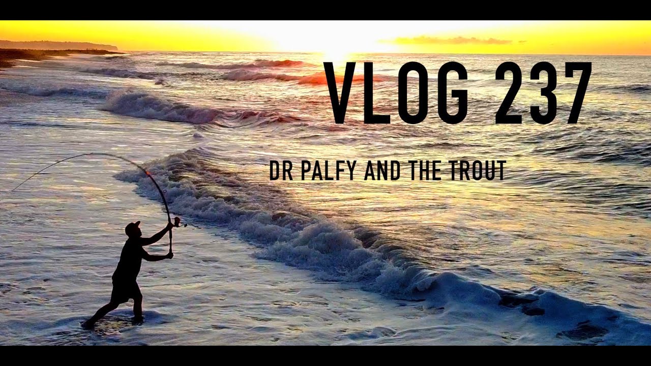 VLOG 237 - Dr Palfy the laughologist, the Norweigan trout boys, the ...