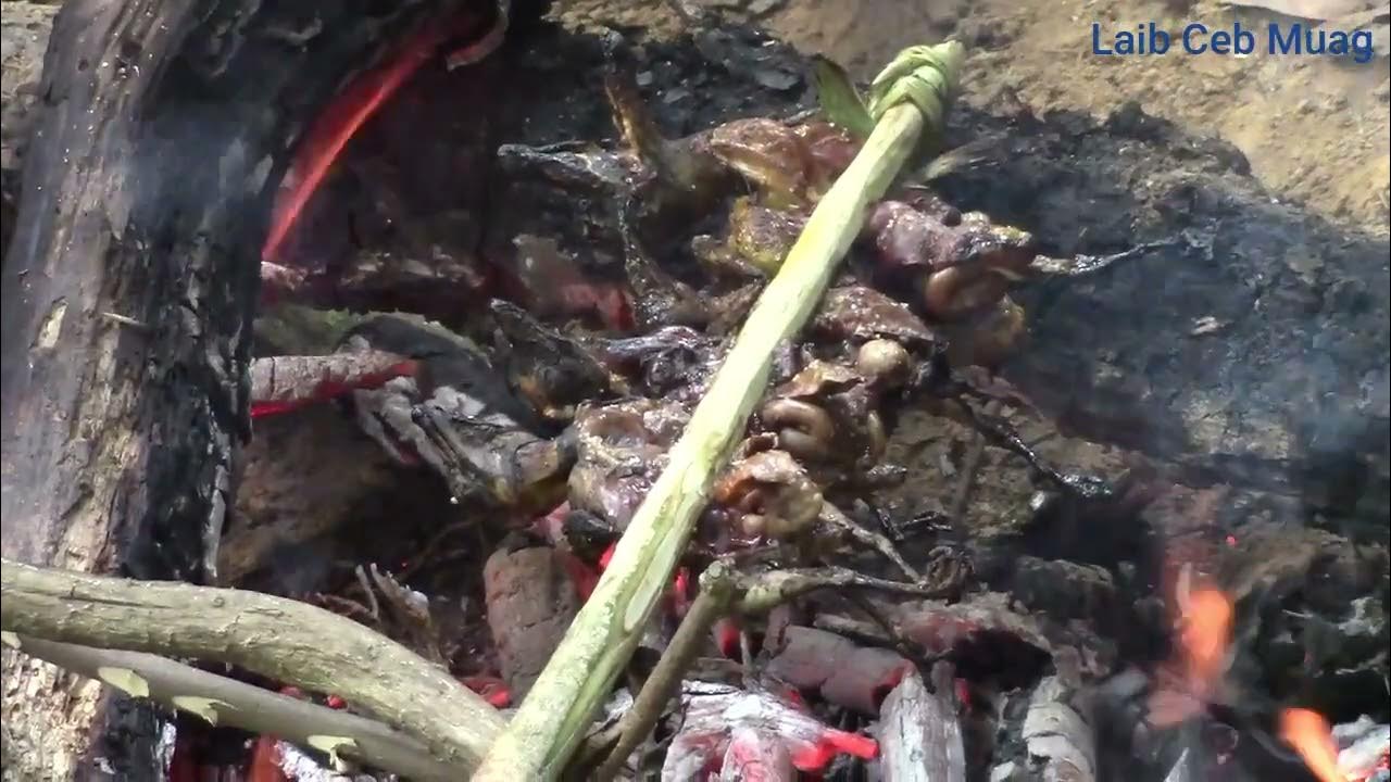 mus yos hav zoov tua nas.noj txiv lwm tsib.lom zem heev - YouTube