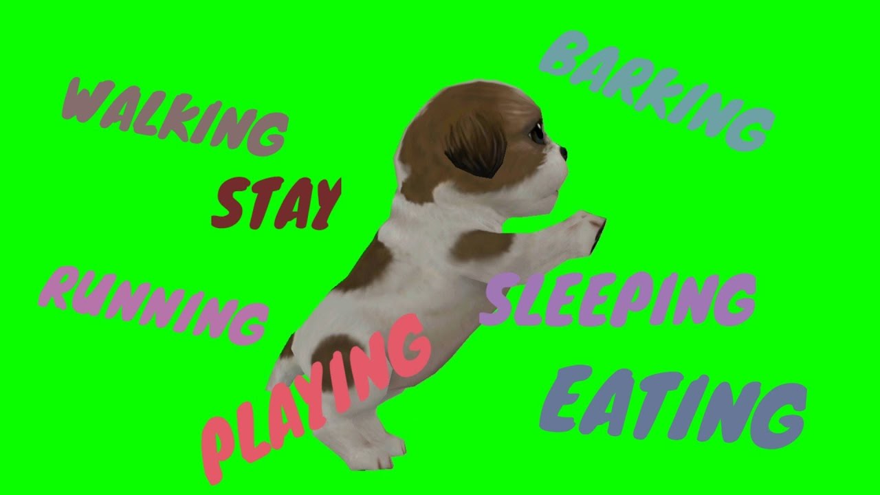 Dog (Puppy🐶) | No Copyright free green screen| Dog green screen|walk ...