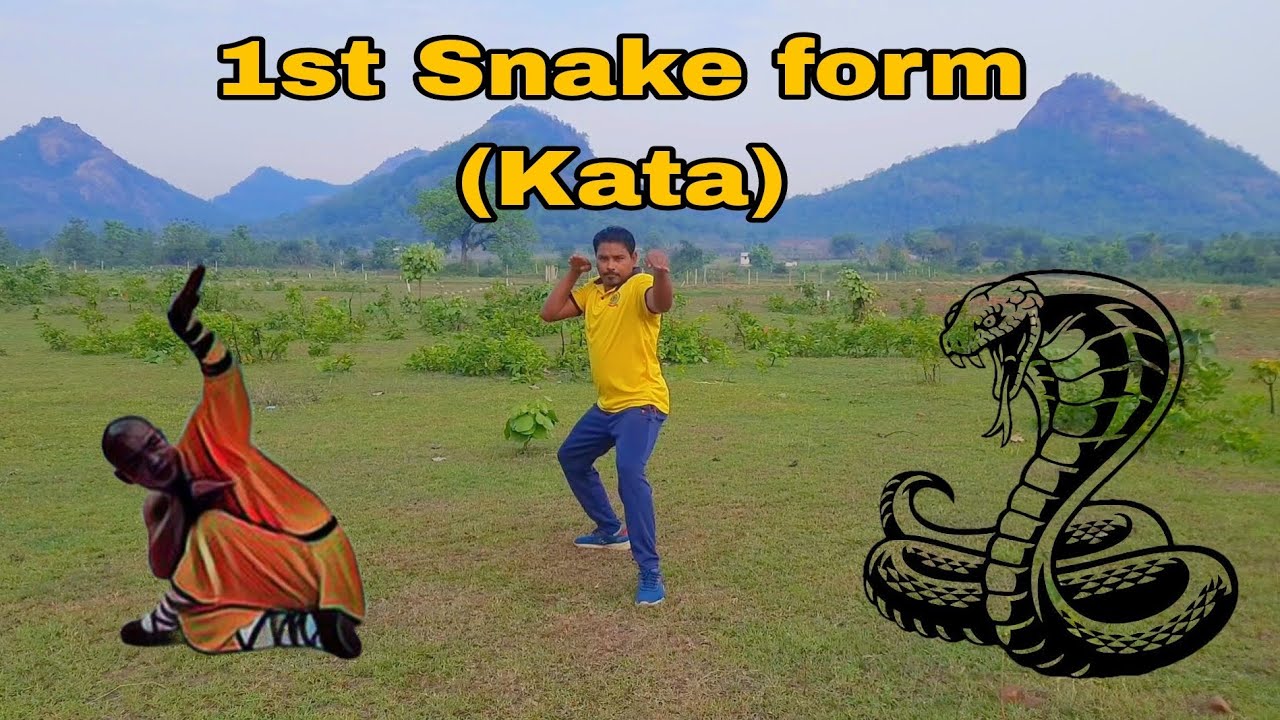 1st Snake form (kata) #snake #kata #kungfu #wushu - YouTube