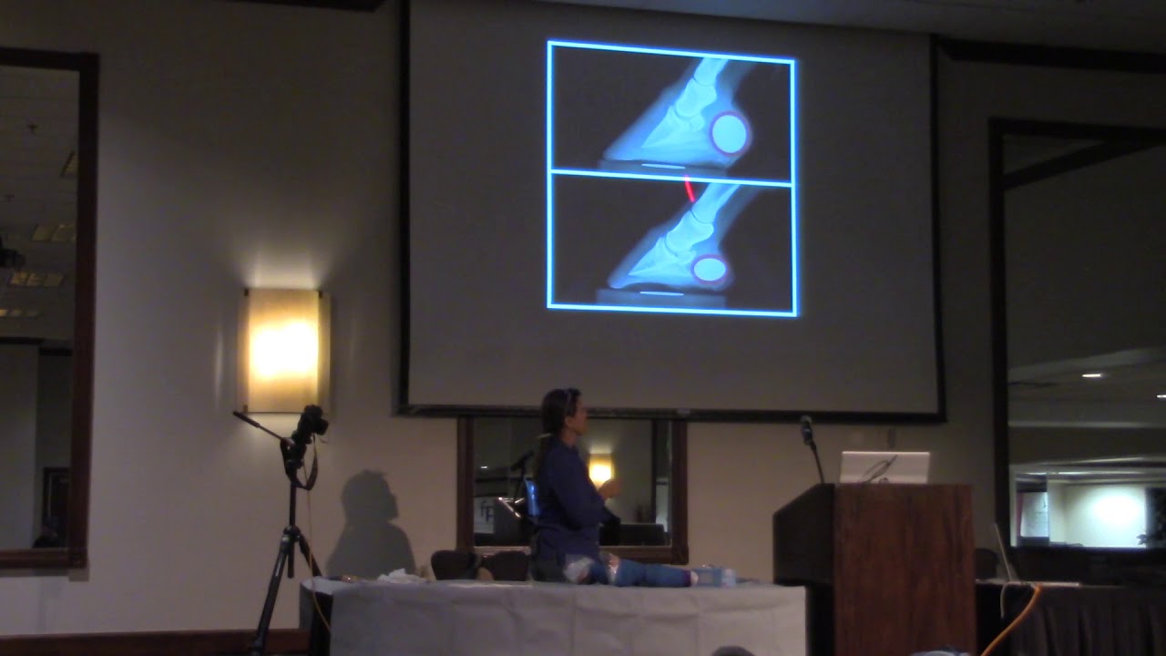 AFA 47 - Paige Poss "Understanding the Back of the Foot" - Part 1 - YouTube