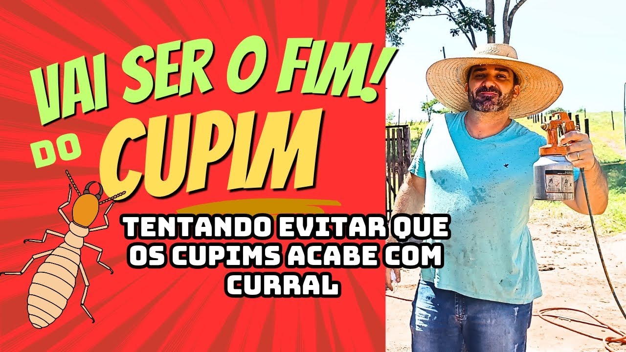 vai ser o fim do cupim ? - YouTube