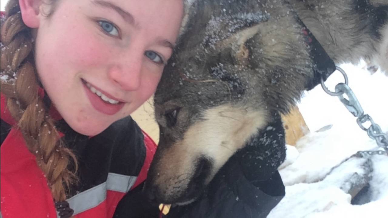 An incredible trip with MAD Husky Tours Norway - YouTube