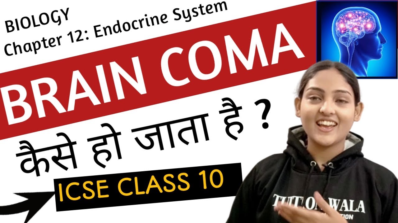 brain coma|brain coma treatment|brain comatose|brain coma death|brain ...