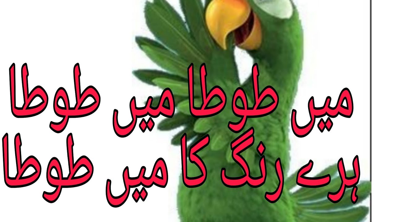 ma tota ma tota hare rung ka ma tota poem |kids poem |cartoon - YouTube