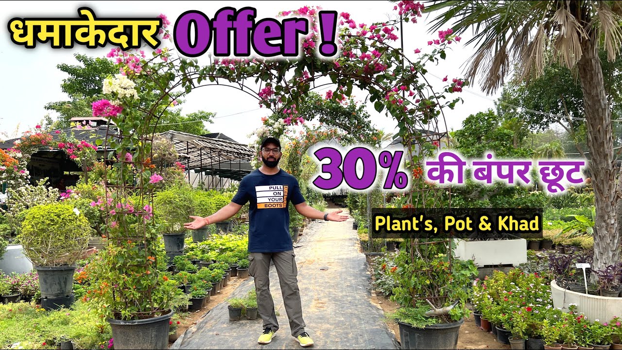 Nursery पर Plants, Pots और Khad पर हेवी डिस्काउंट के साथ 30% की बंपर ...