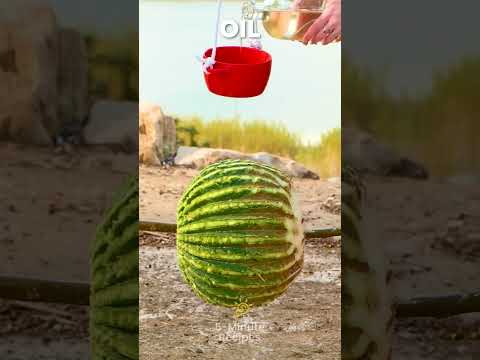 Wild Cactus Cooking Hack Every Camper Should Know