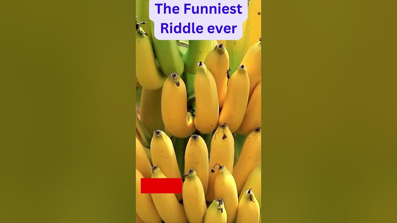 Don't eat Banana/ Riddle for fun - YouTube