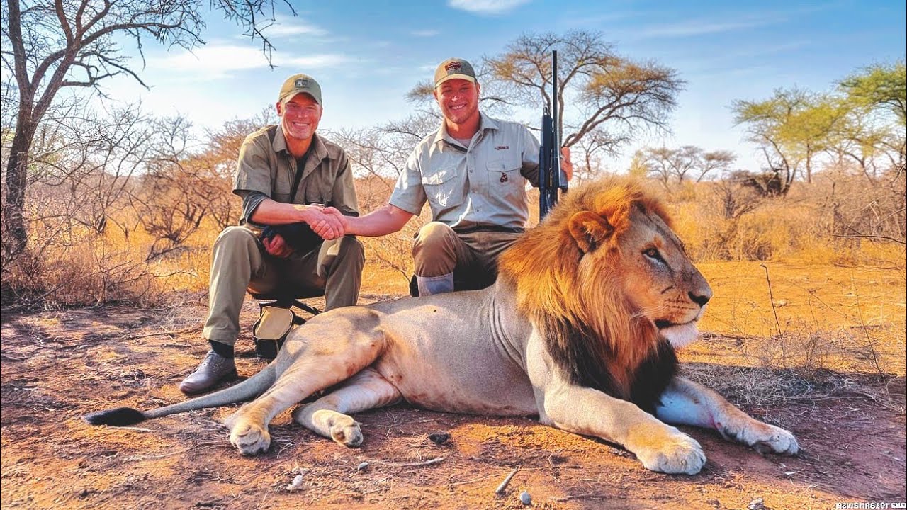 "Controversial Safari Hunt: Trophy Hunters Pose with Lion in the Wild ...