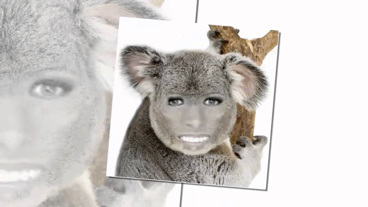 Claudia Animal or Creature Claudia - YouTube