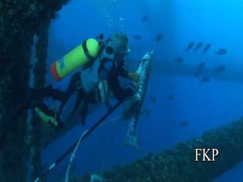Offshore oil platforms are artificial reefs - Fish love it - YouTube