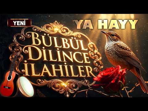 Bülbül Dilince İlahiler / Gele Gele Yollar Aştım / YA HAYY / 2026 En güzel yeni ilahileri dinleyin
