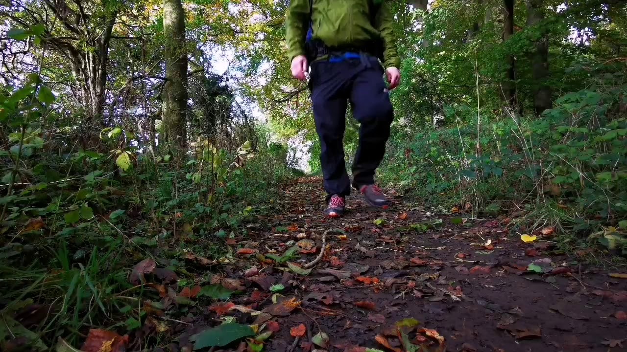 A Walk from Home - YouTube