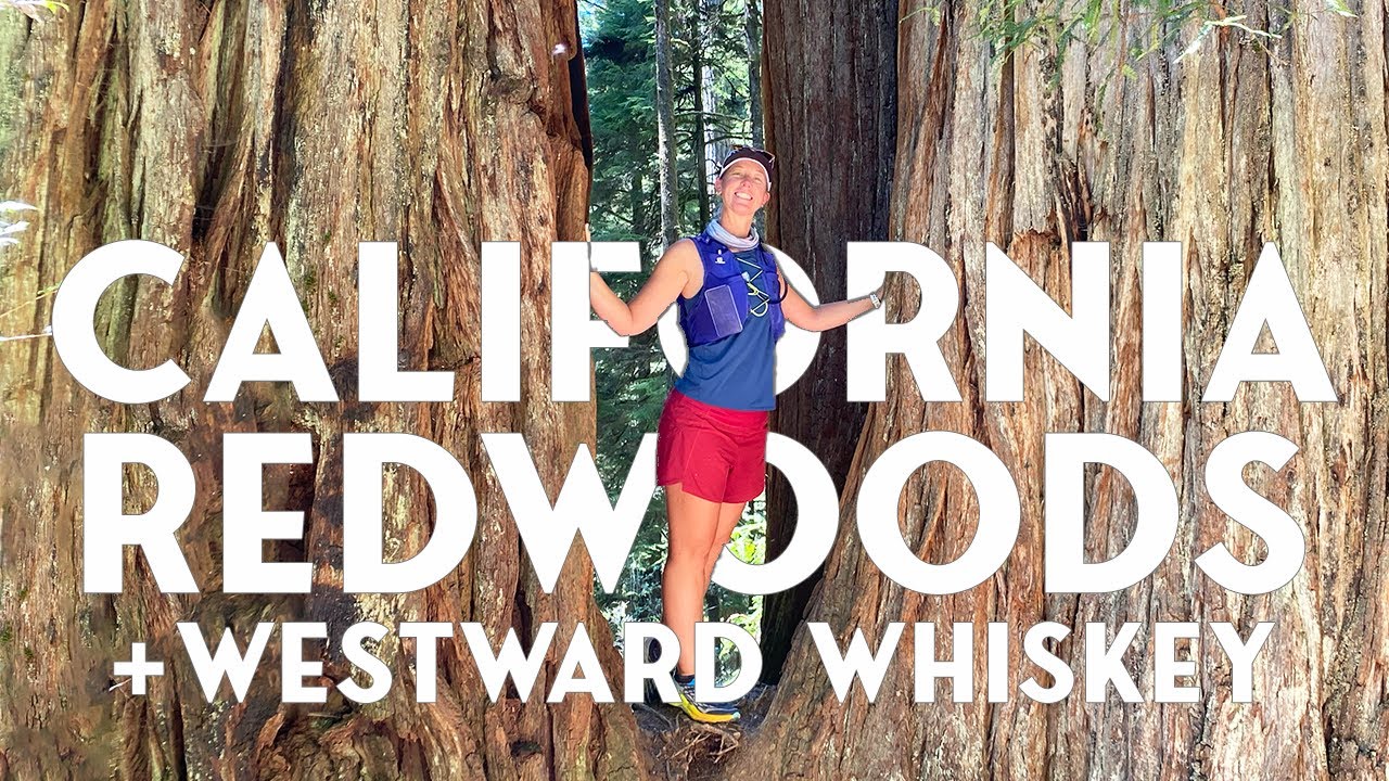 California Redwoods and Westward American Single Malt Whiskey - YouTube