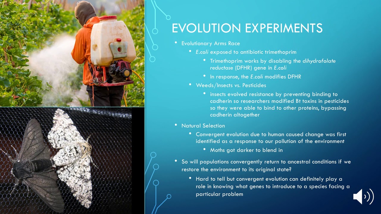 EEB 185 Improbable Destinies: Chapter 12 -Anmol Cheema & Jonghwee Park ...