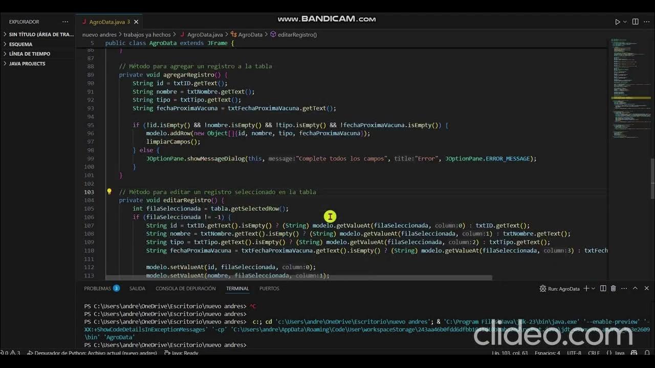Modulo de vacunación utilizando Swing en Java - YouTube