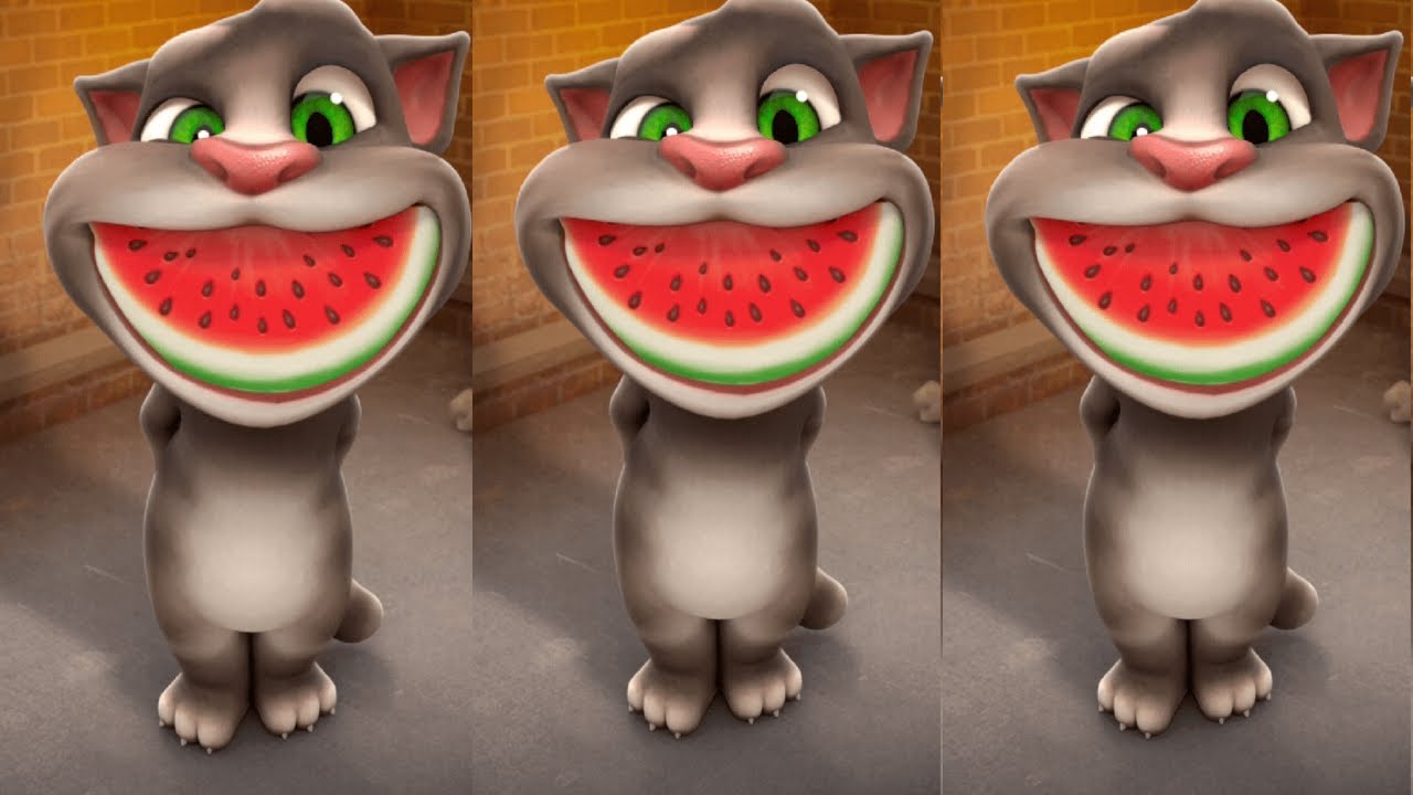Talking Tom Eats Watermelon | Funny Moment - YouTube