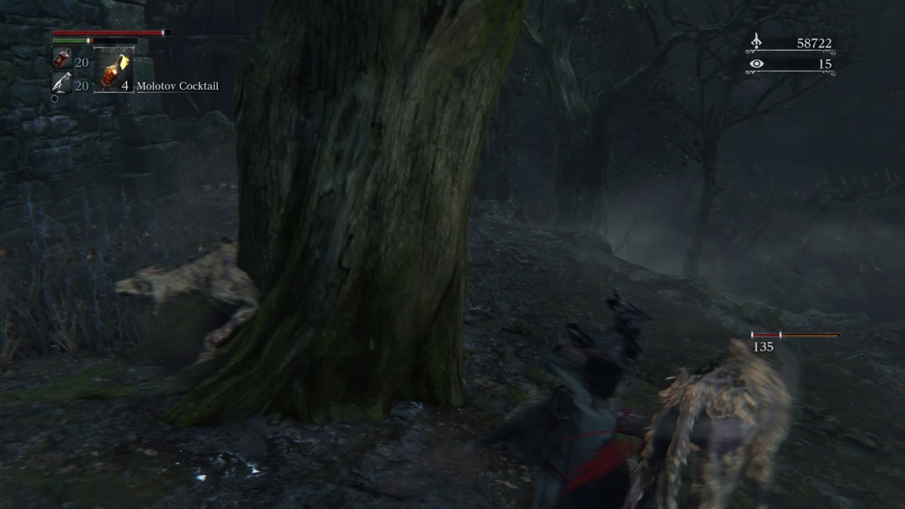 Bloodborne Glitch/Bug - A Tree With a Lot of Bark - YouTube