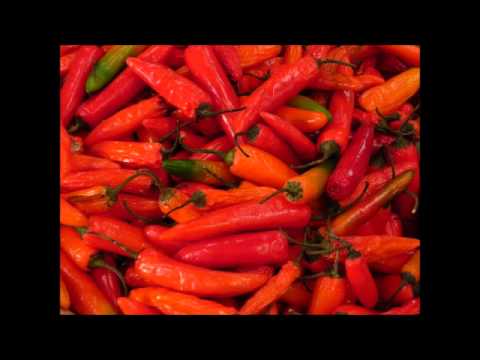 Frijolero - Molotov (with lyrics) by El Albionauta - YouTube