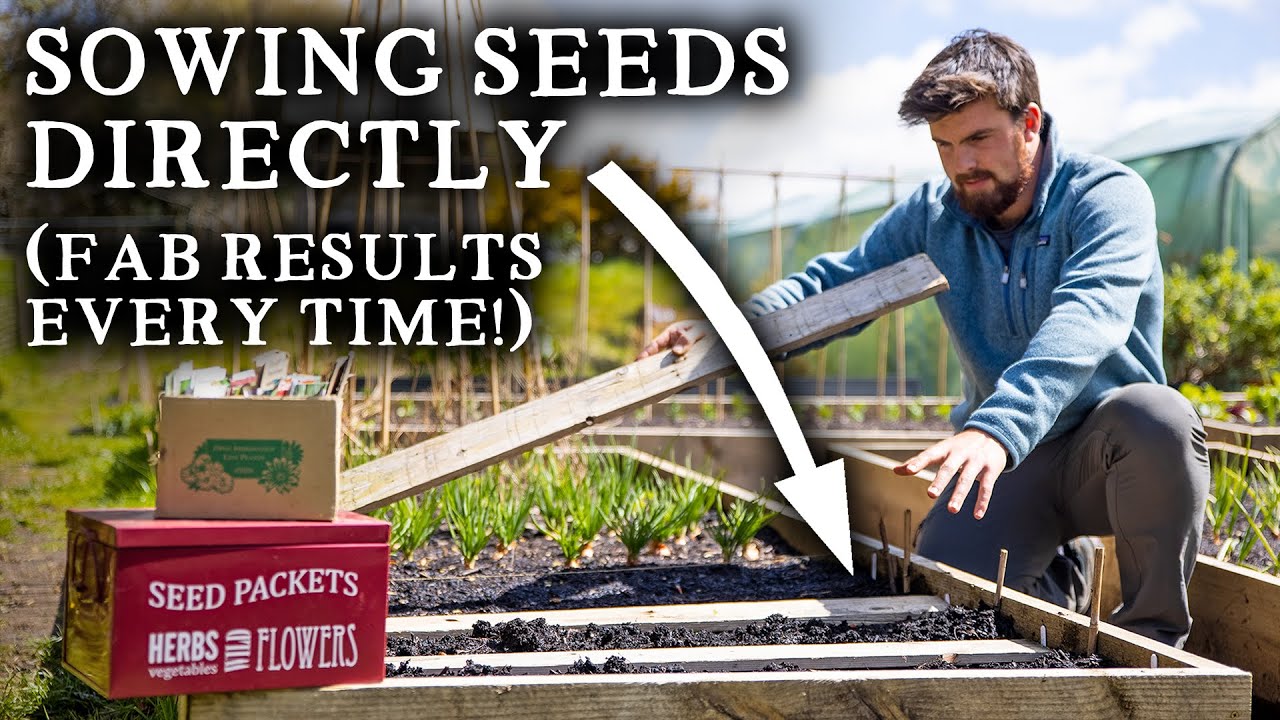 How to Get Fantastic Results From Direct Sowing - YouTube