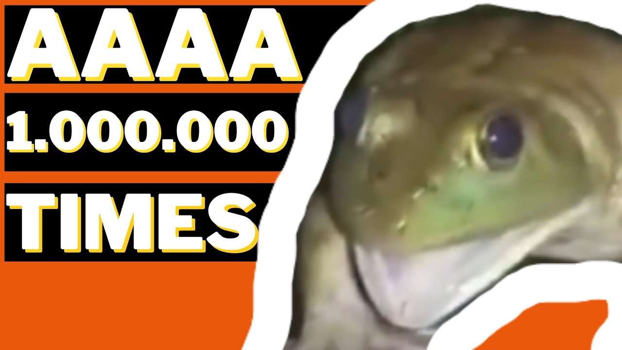 Frog scream 1000000 times | frog aaaaaa one million times meme - YouTube