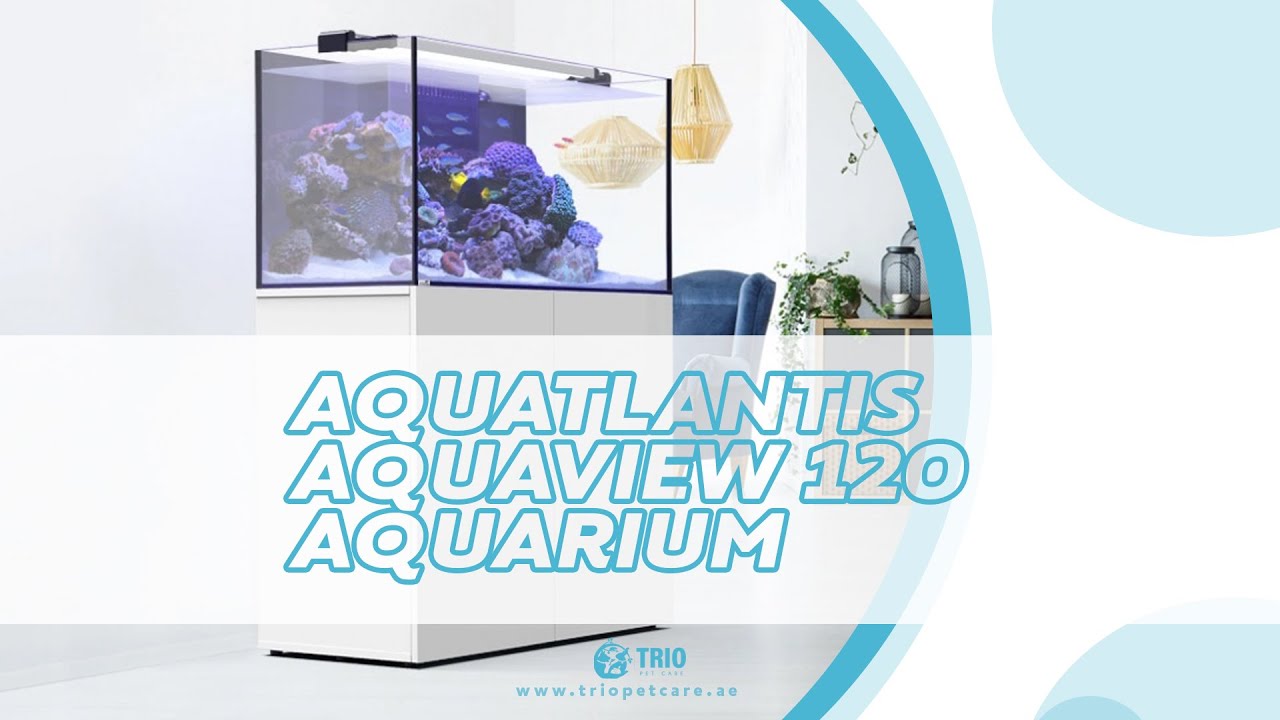 Aquatlantis Aquaview 120 Aquarium + Cabinet 278L | Shop Aquarium Online ...