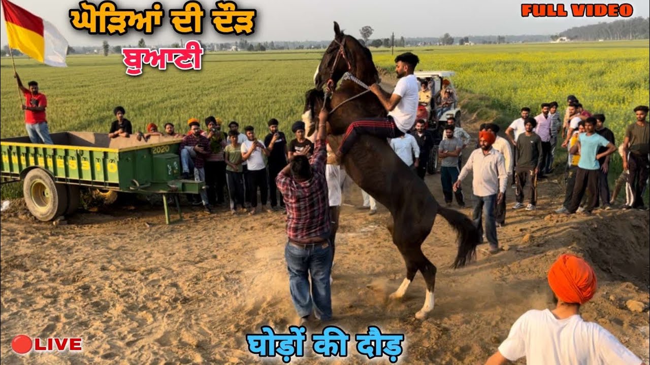 🔴LIVE ਘੋੜਿਆਂ ਦੀ ਦੌੜ - BOWANI (Ludhiana) 10 March'23 Horse Racing - YouTube