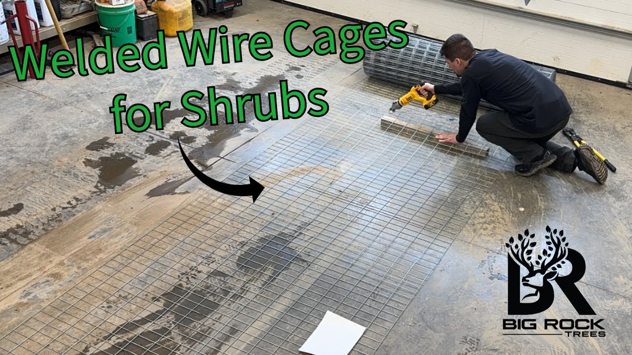 Welded Wire Cages to Protect Shrubs | Weekend Warrior | - YouTube