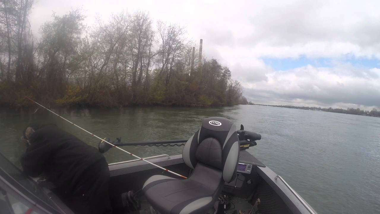 Just Hook Em - YouTube