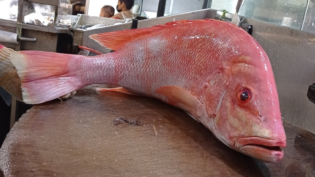 Amazing Giant Red Snapper Fish Cutting Skills Export Man - YouTube