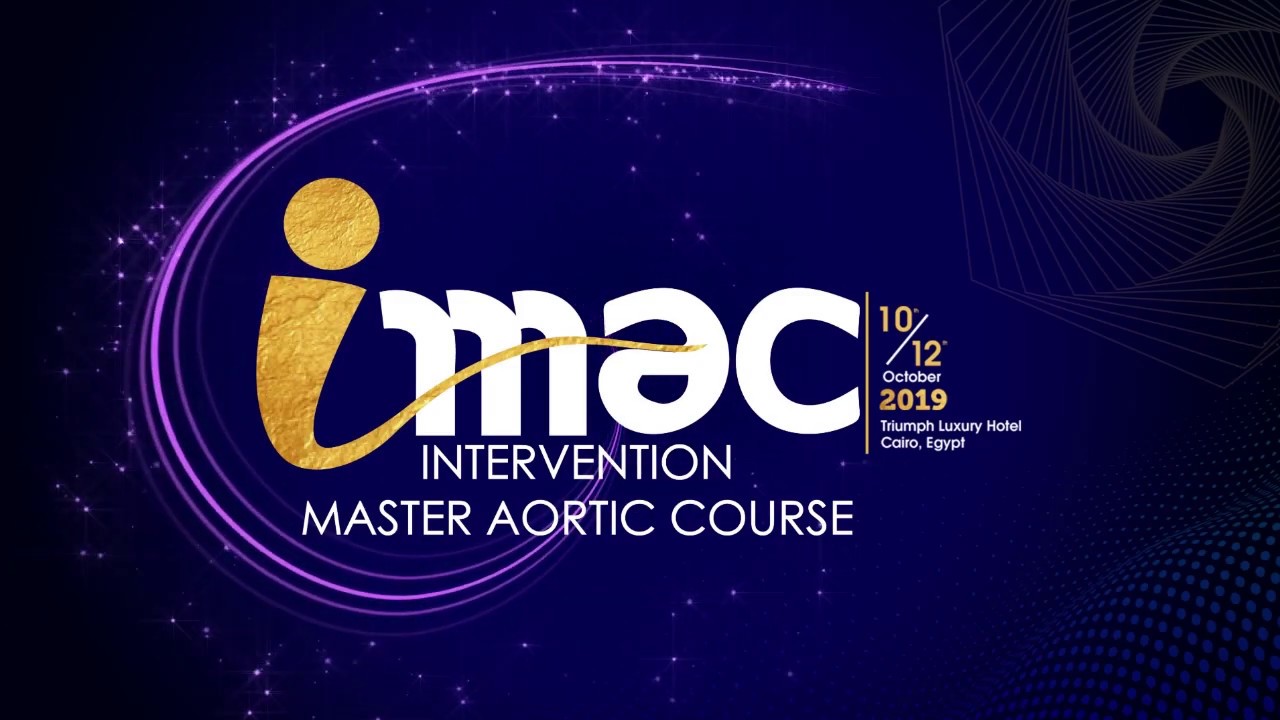 IMAC 2019 - Day 2 - Session 3 - Prof. Vincent Riambau - YouTube