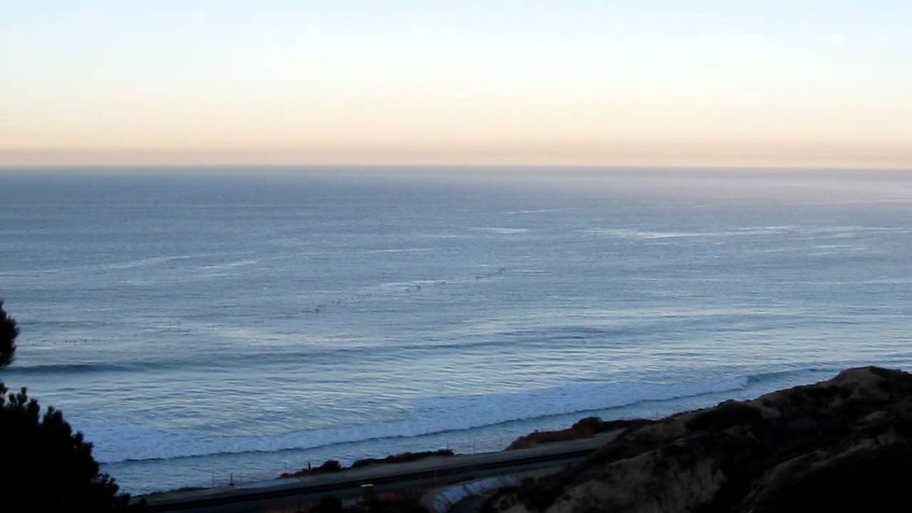 Pelican conga line flying along the surf - YouTube