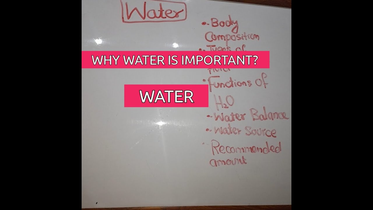 Why Water Is Important? Introduction of Water/Recommended Amount of ...
