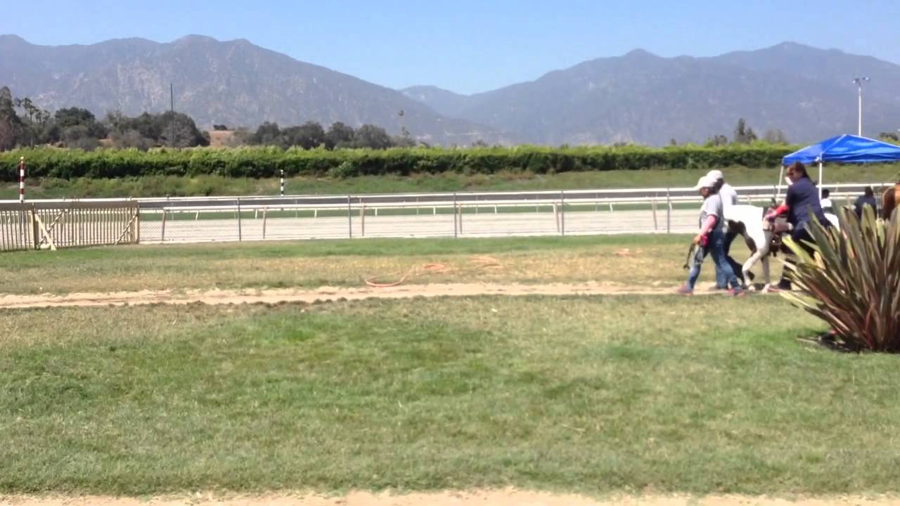 Laurens First Pony Ride - YouTube