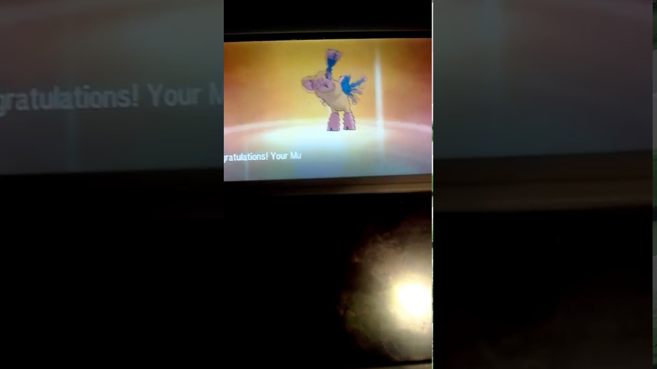 Shiny mudbray EVOLUTION! - YouTube