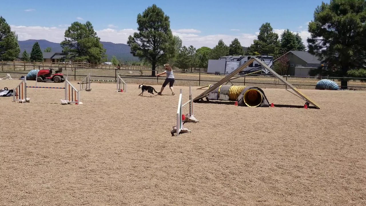 Simi module 1 adv standard - YouTube