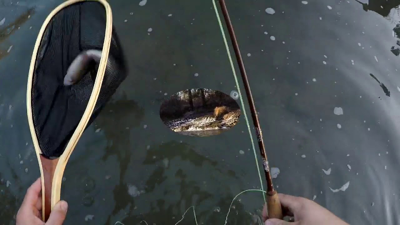 Blue River Tishomingo Oklahoma Trout Fishing - YouTube