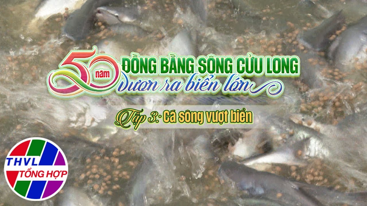 Nhịp sống đồng bằng: Đồng bằng sông Cửu Long 50 năm vươn ra biển lớn ...