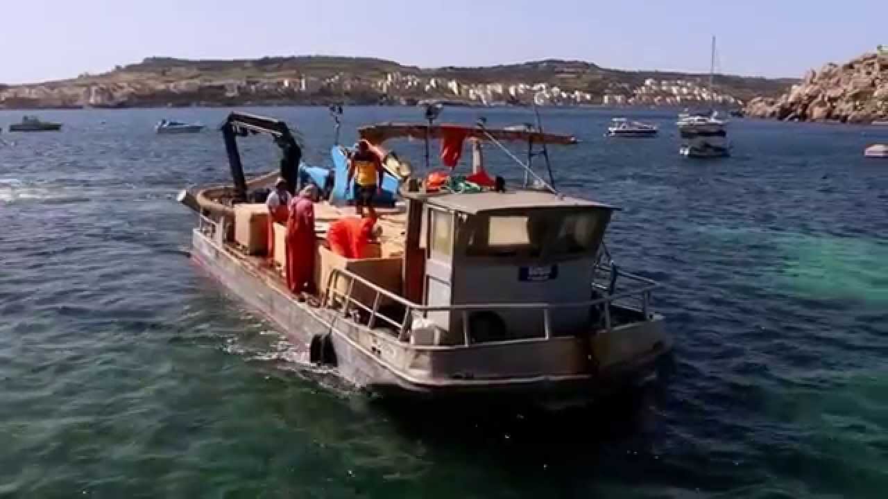Eat Fresh Fish - Maltese Fish Farming - YouTube
