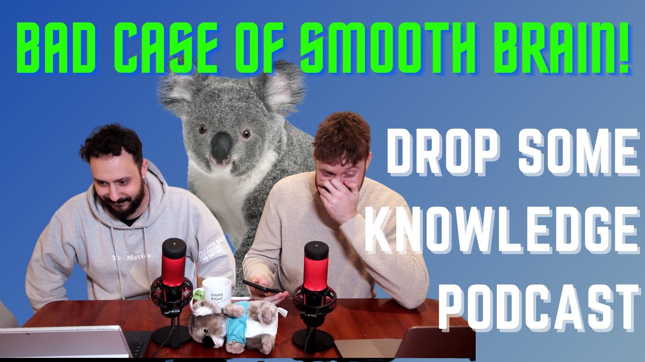 BAD CASE OF SMOOTH BRAIN! (Koalas) - Drop Some Knowledge Podcast Full ...