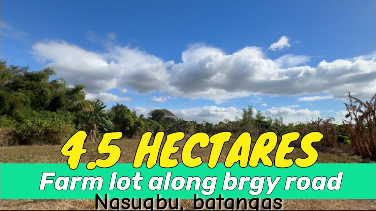 Nov-338 Farm lot 4.5 hectares titled road ideal for housing , private ...