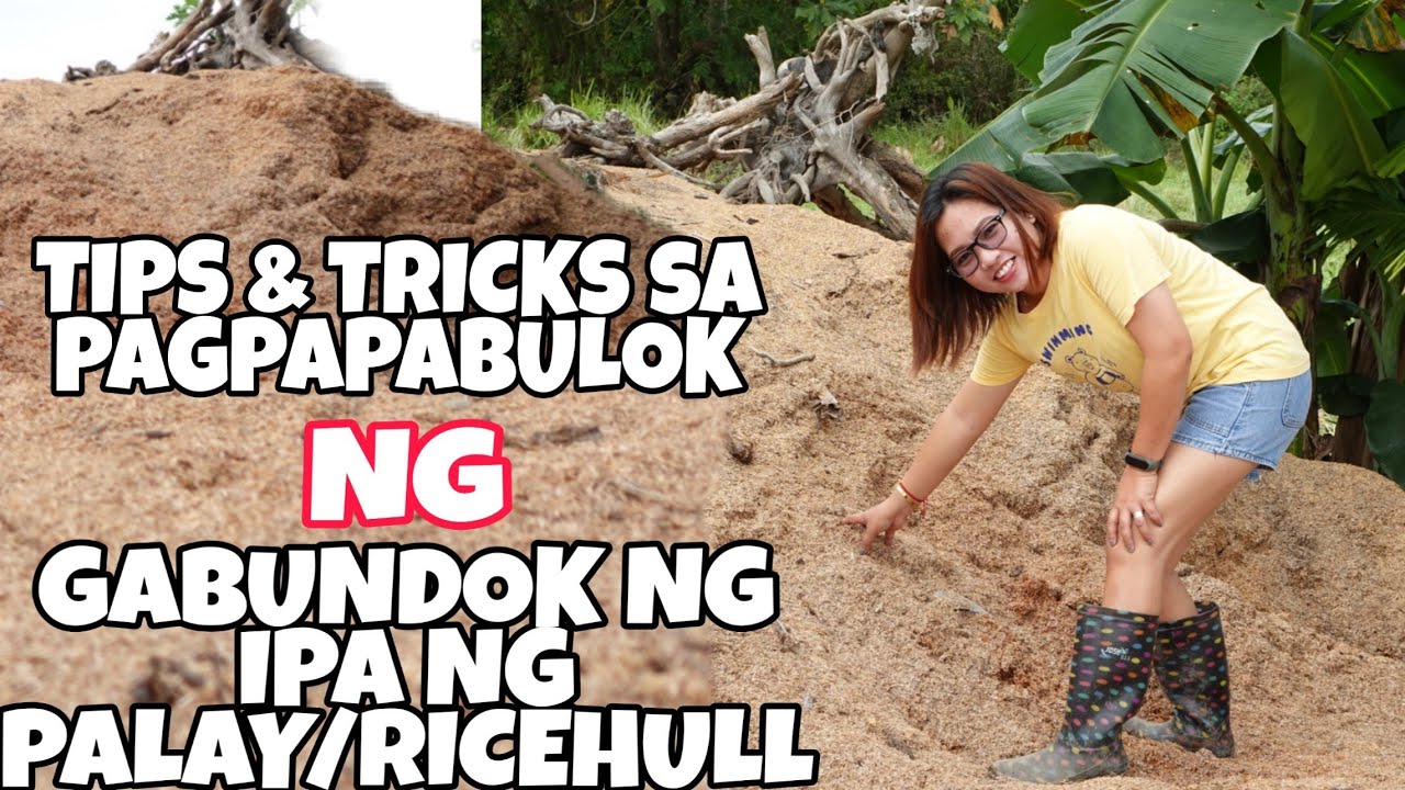 TIPS KUNG PAANO MAPABILIS MABULOK ANG IPA NG PALAY/RICEHULL|Grace J. M ...